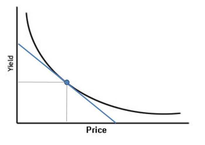 Risk Management | U.S. Treasury Securities